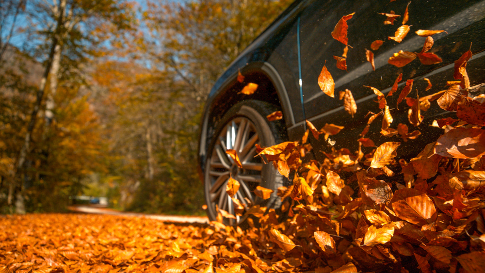 5 Fall Driving Safety Tips